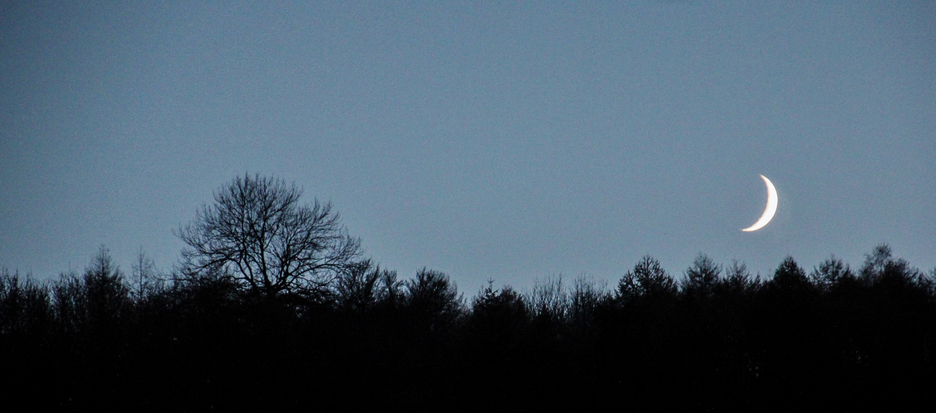 18 Points -Crescent Moon over Westridge Woods- Marjory Wright – Tyndale ...