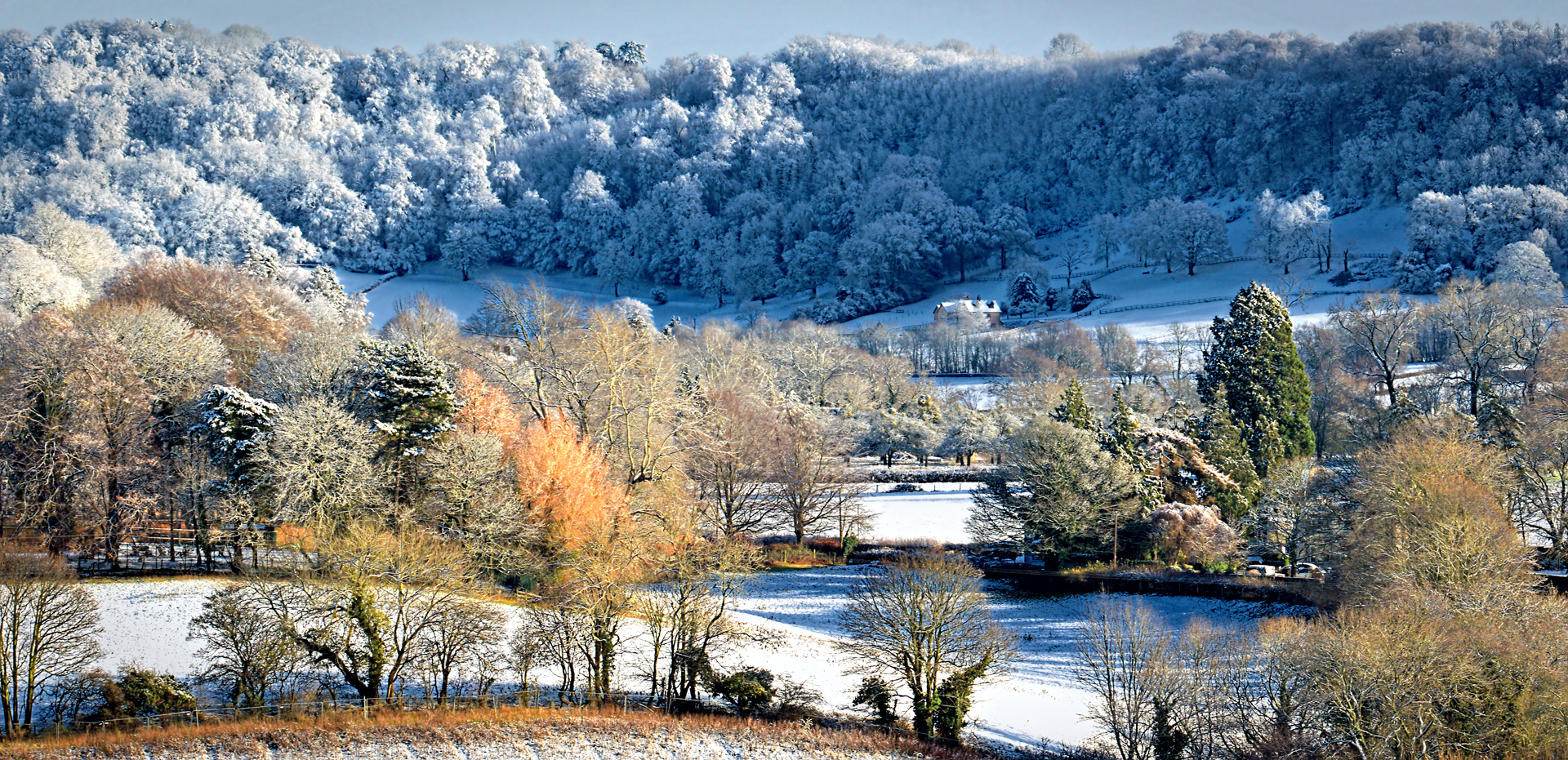 3rd 19 Points-Signs of Winter-Christine Ryske – Tyndale Photography Club