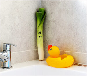 D2- 1st – 20 Points – There`s a serious leek in the bathroom – Joan ...