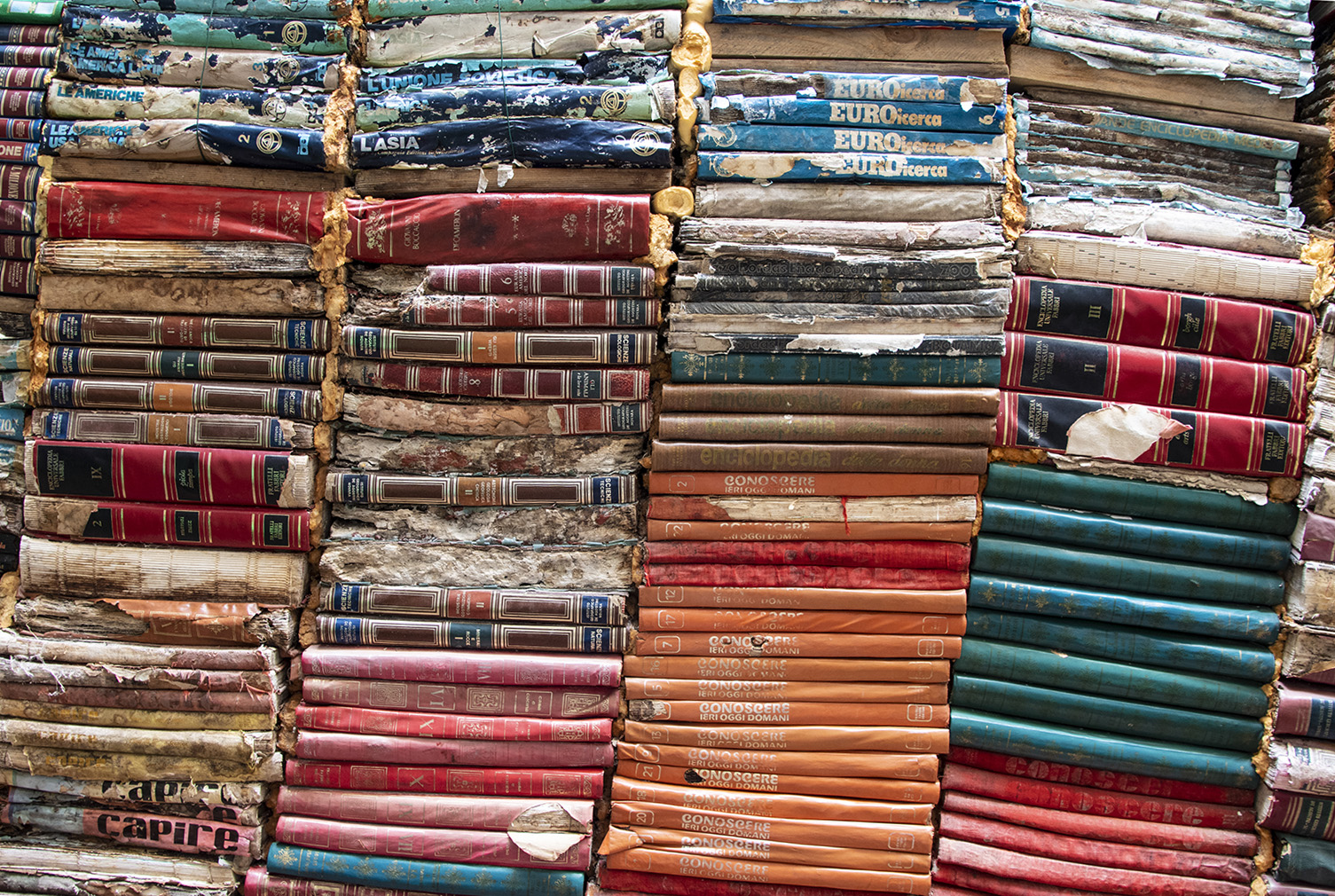 Stripes – rotting books – Tyndale Photography Club