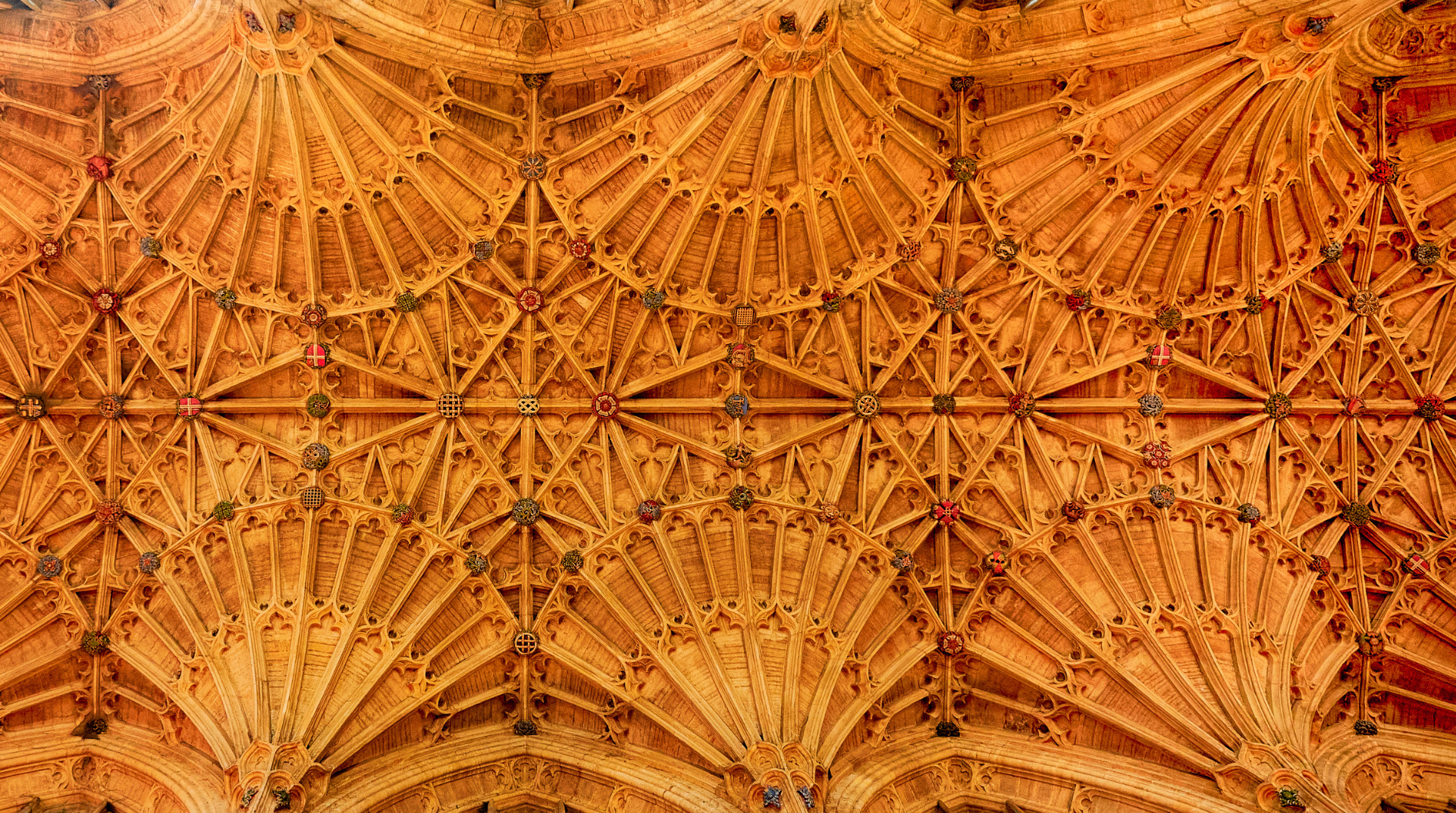 2022-23 Competition 1 Prints and PDIs Images – Open Subject – Tyndale ...